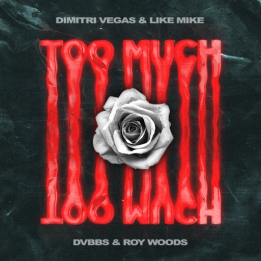Dimitri Vegas Like Mike Tiësto Dido Thank You Not So Bad